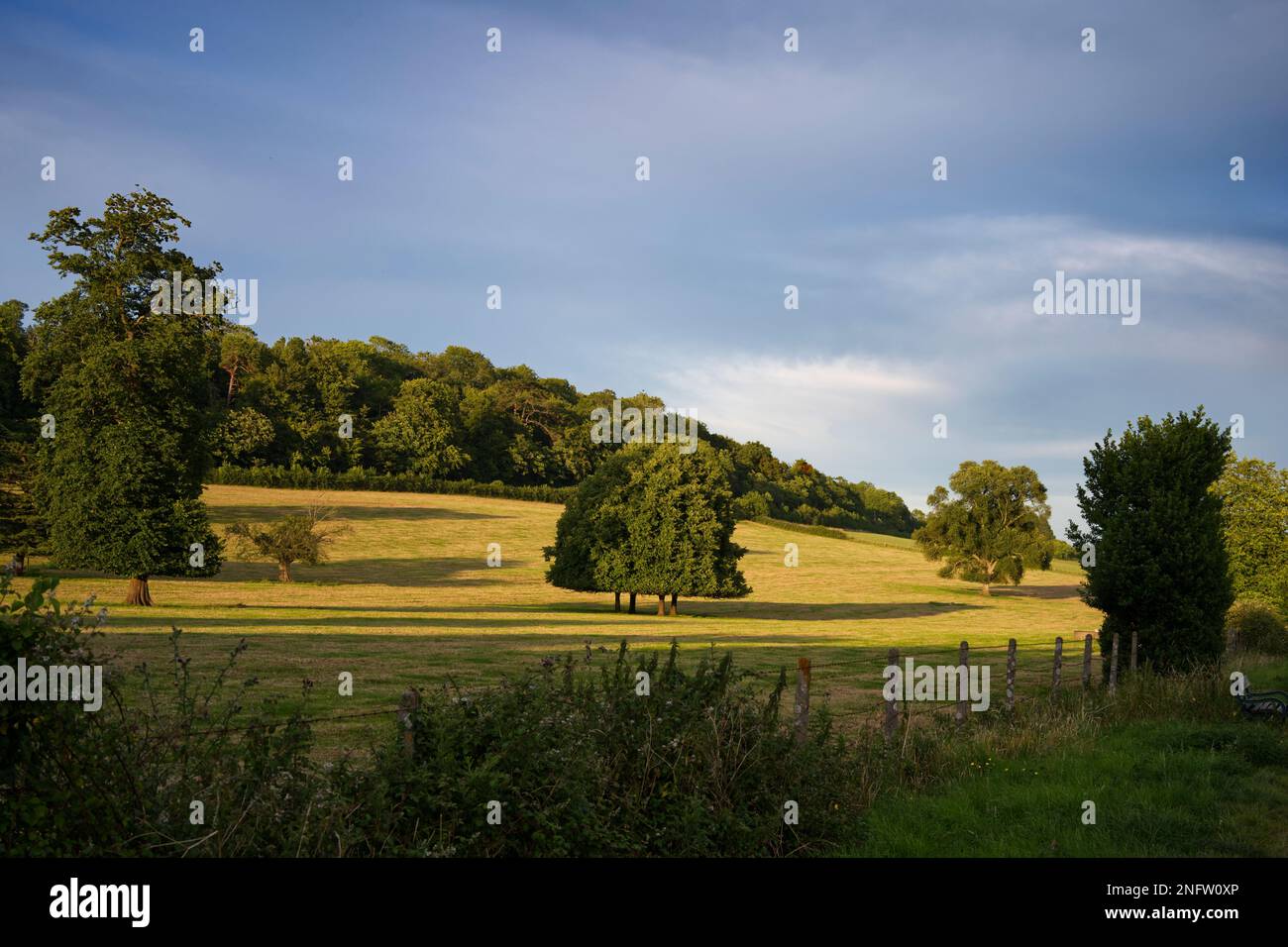 Golden hour at Wells, countryside Stock Photo - Alamy