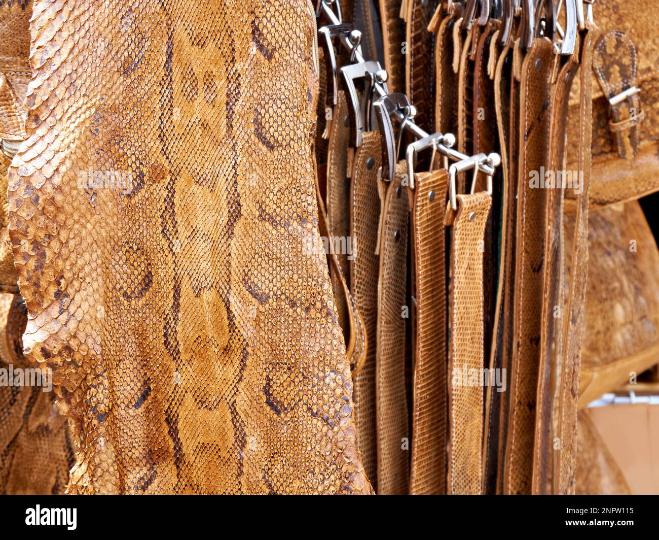 Animal skin products hi-res stock photography and images - Alamy