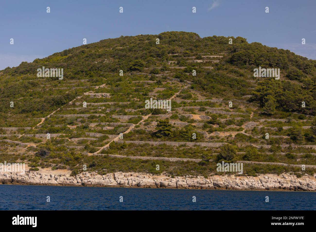 ISLAND OF VIS, CROATIA, EUROPE - Dry stone wall terracing on hiilside ...