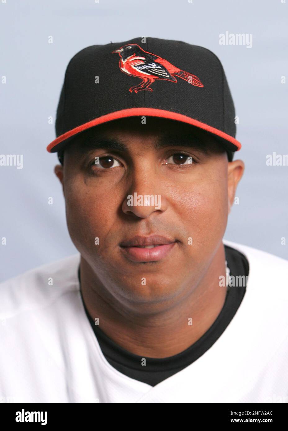 This is a 2008 file photo of Luis Terrero of the Baltimore Orioles ...