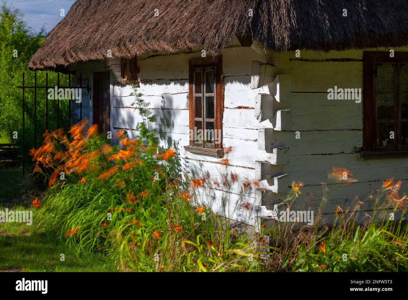 The old, traditional country cottage thatched roof, Podlasie region ...