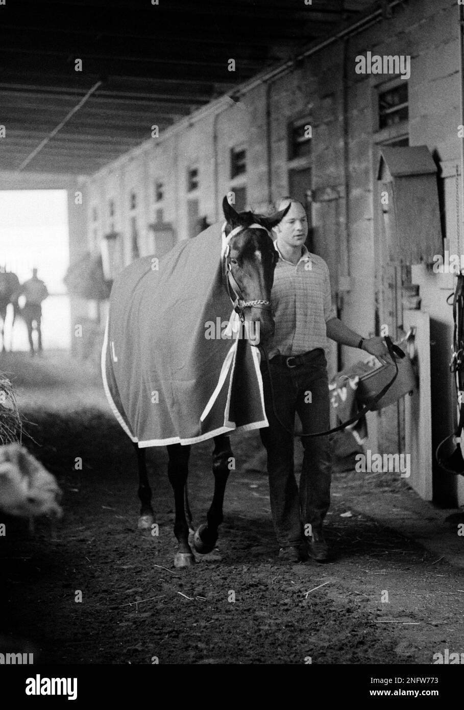 Ruffian, winner of the Triple Crown races for fillies in 1975, is shown ...