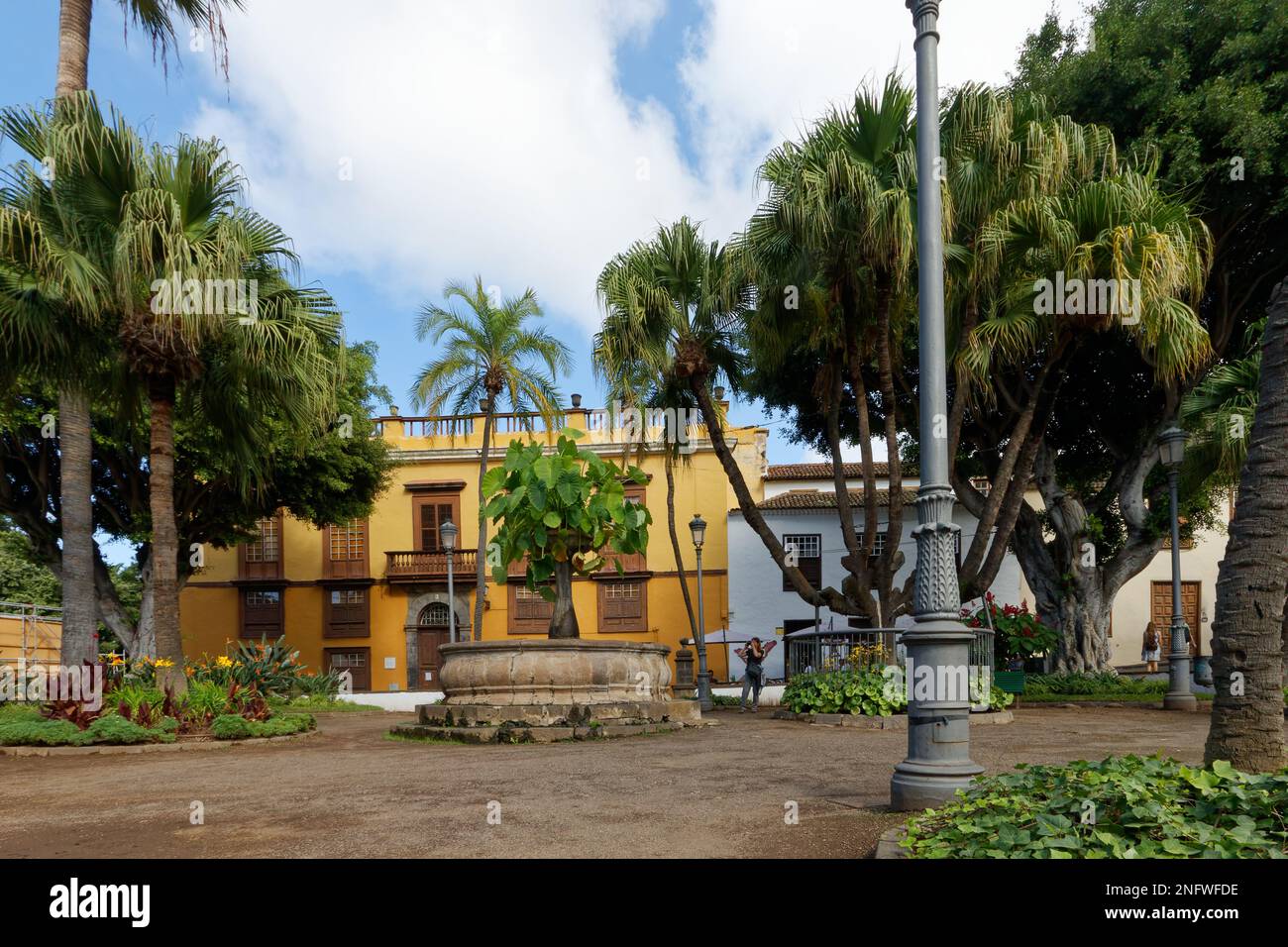 Small town Icod de los Vinos, home to iconic dragon tree and lava ...