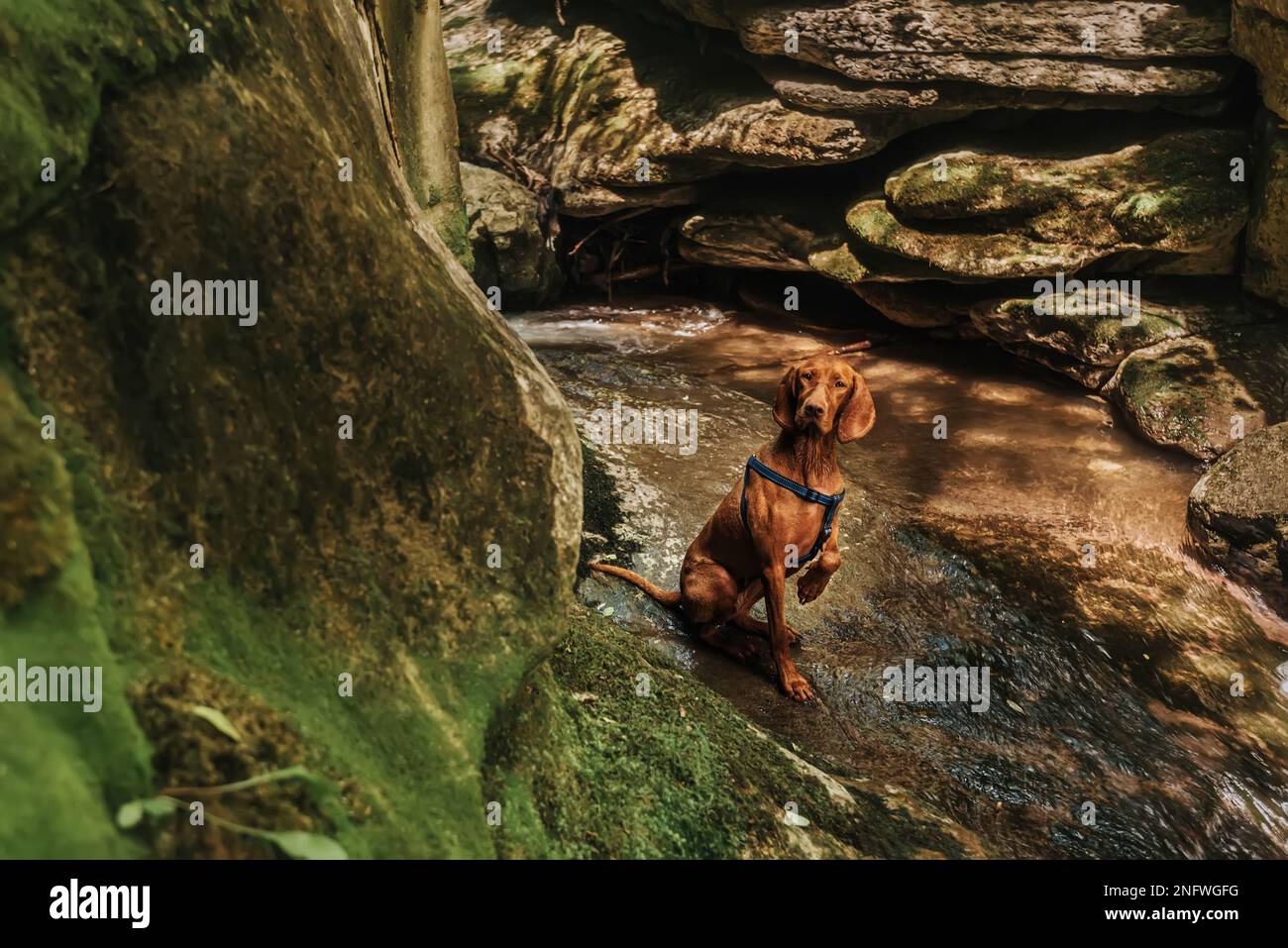 Rosomaca river hi-res stock photography and images - Alamy