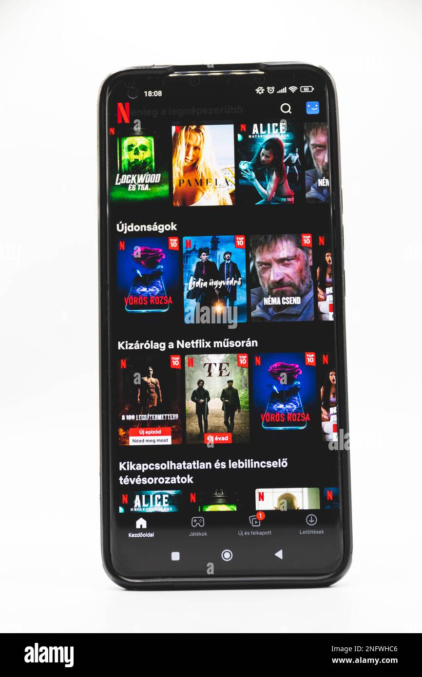 Home screen of the Netflix application displayed on the phone screen in ...