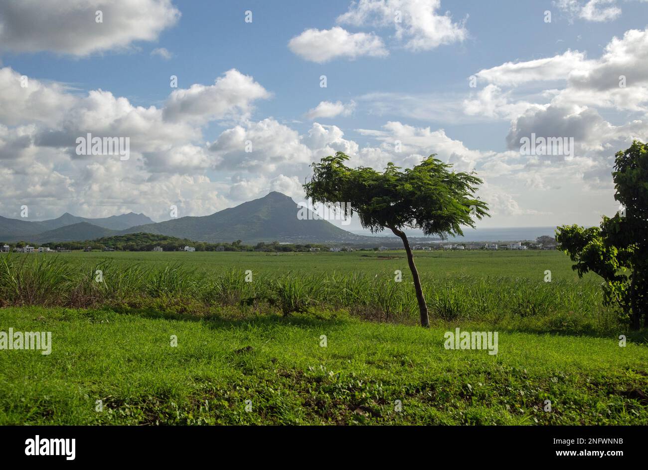 South Mauritius, Africa, February 2023, a beautiful mountainous ...