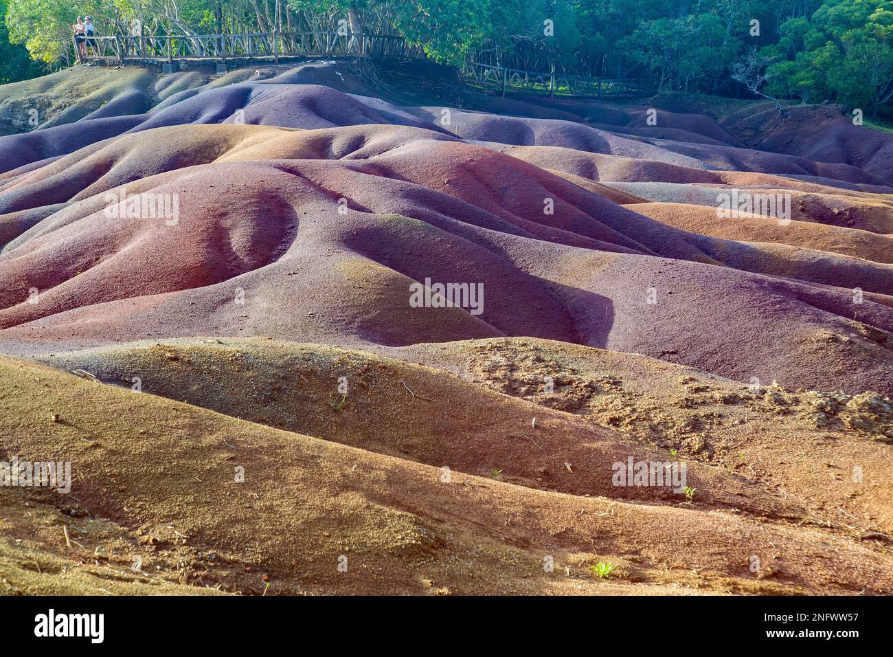 Chamarel, Rivière Noire District, Mauritius, Africa, February 9th, 2023, An area of naturally ...