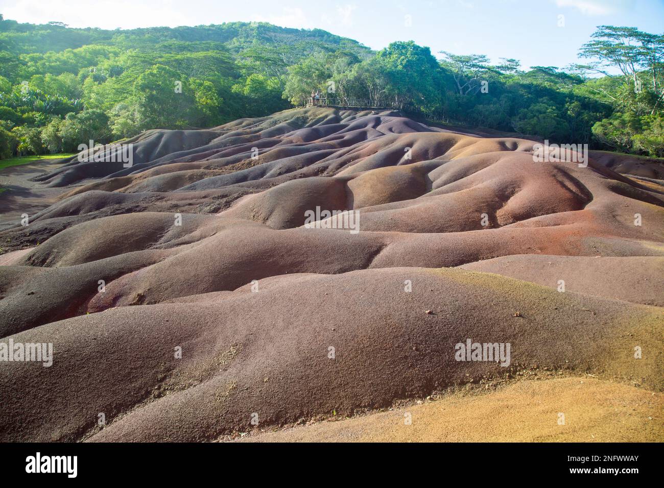 Chamarel, Rivière Noire District, Mauritius, Africa, February 9th, 2023, An area of naturally ...