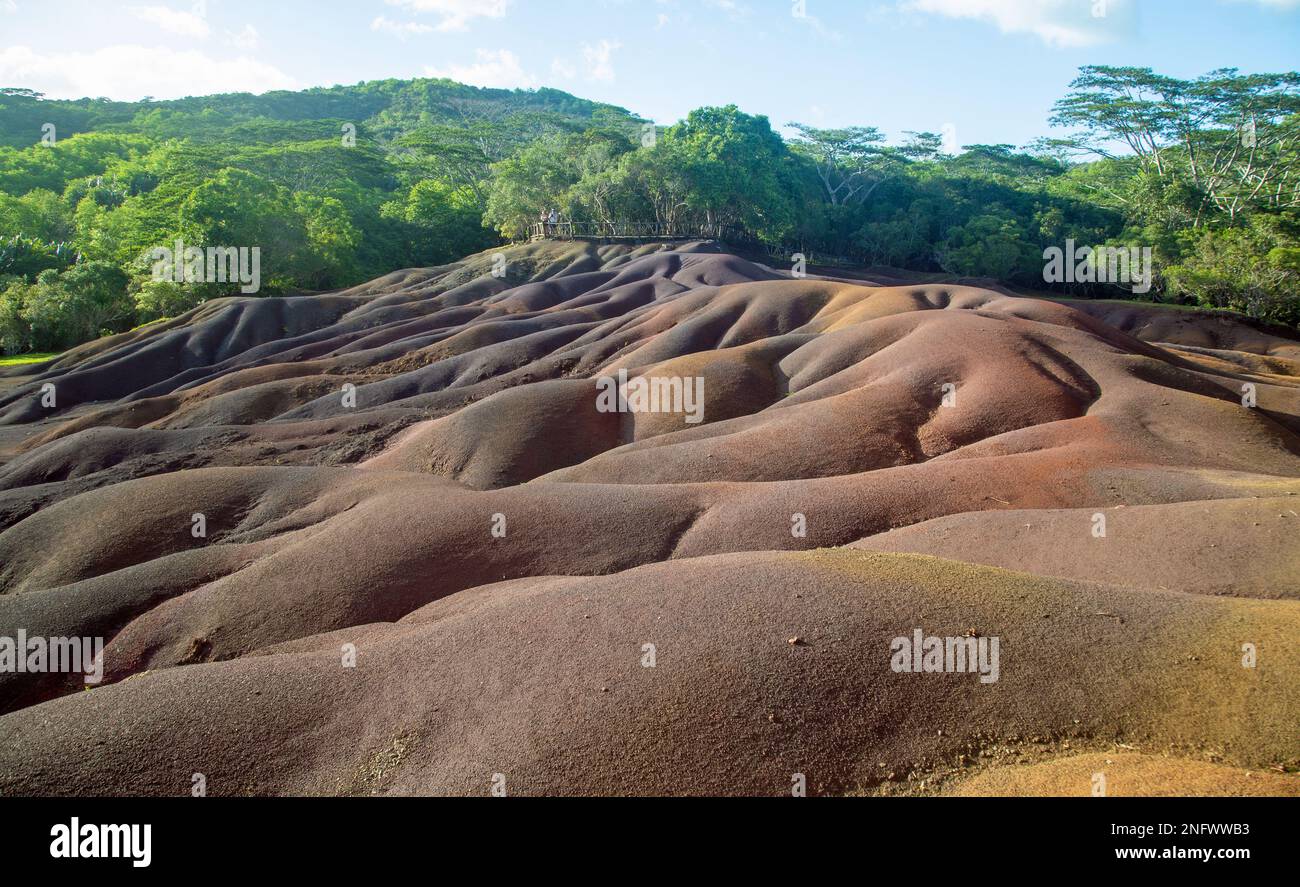 Chamarel, Rivière Noire District, Mauritius, Africa, February 9th, 2023 ...