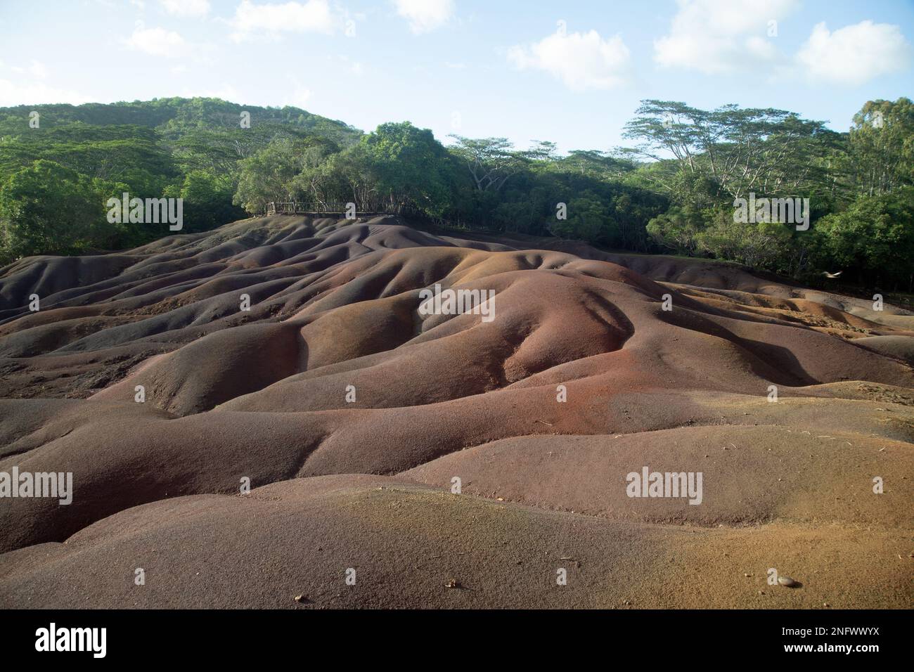 Chamarel, Rivière Noire District, Mauritius, Africa, February 9th, 2023 ...
