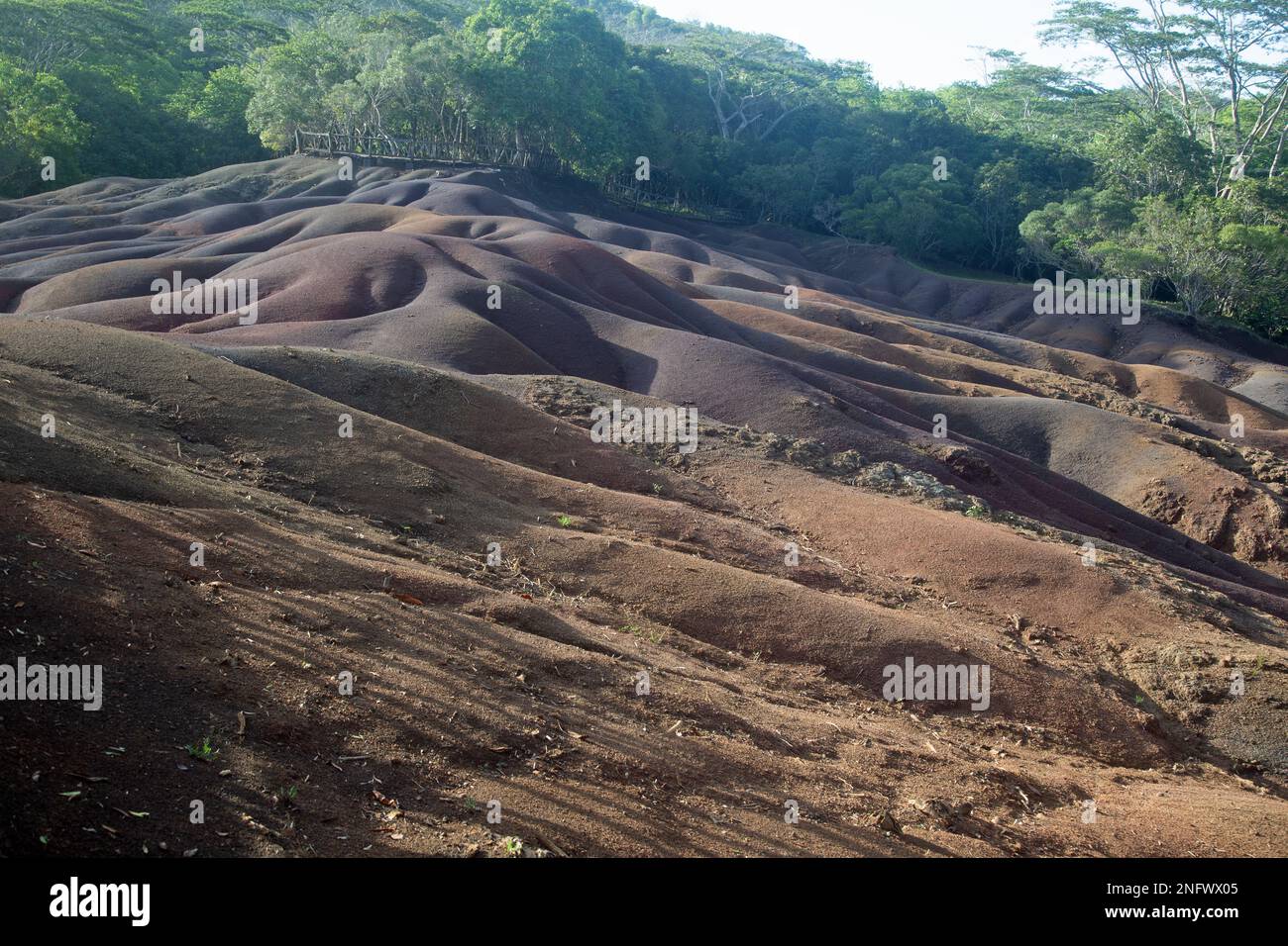 Chamarel, Rivière Noire District, Mauritius, Africa, February 9th, 2023 ...