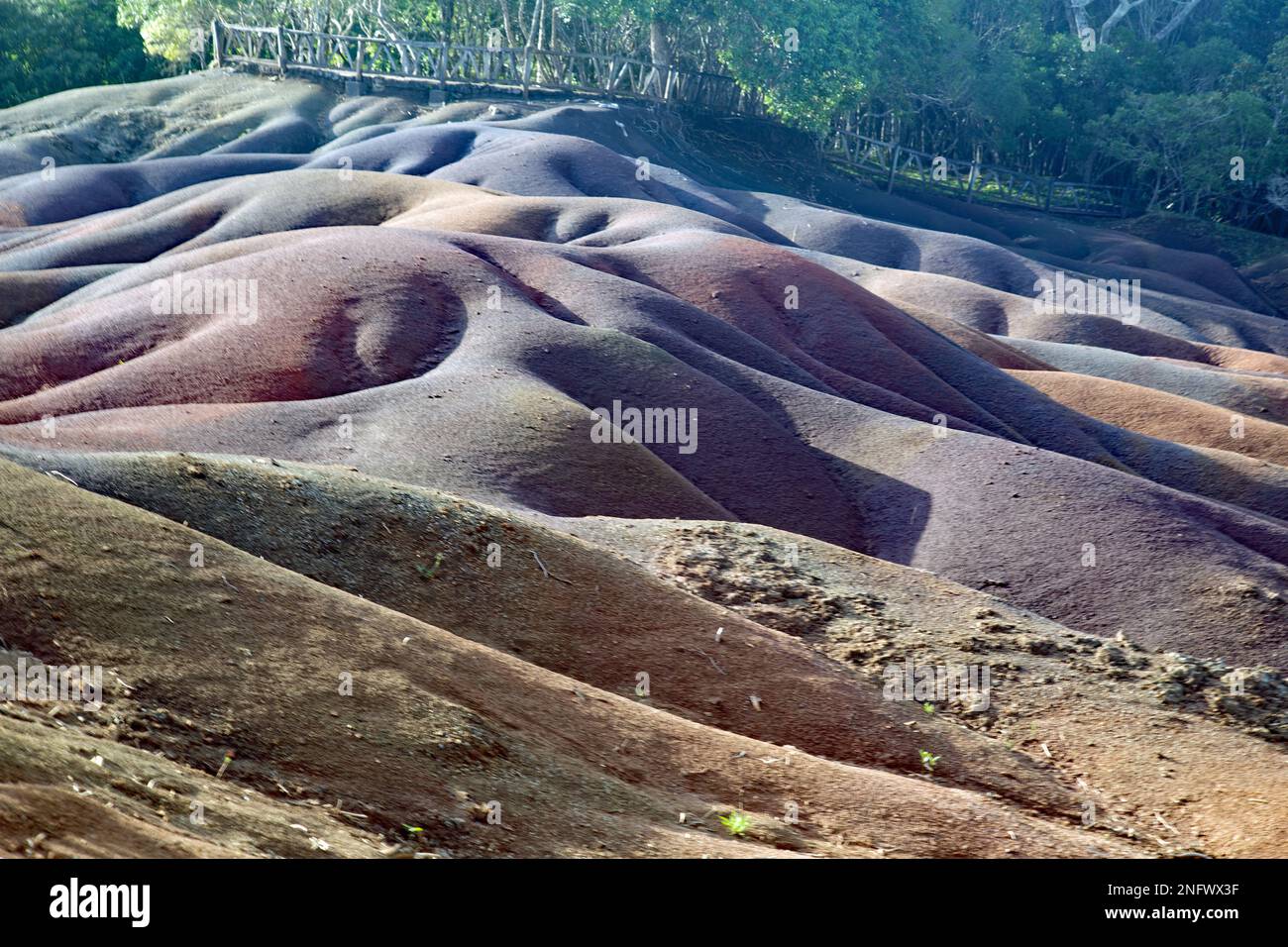 Chamarel, Rivière Noire District, Mauritius, Africa, February 9th, 2023 ...