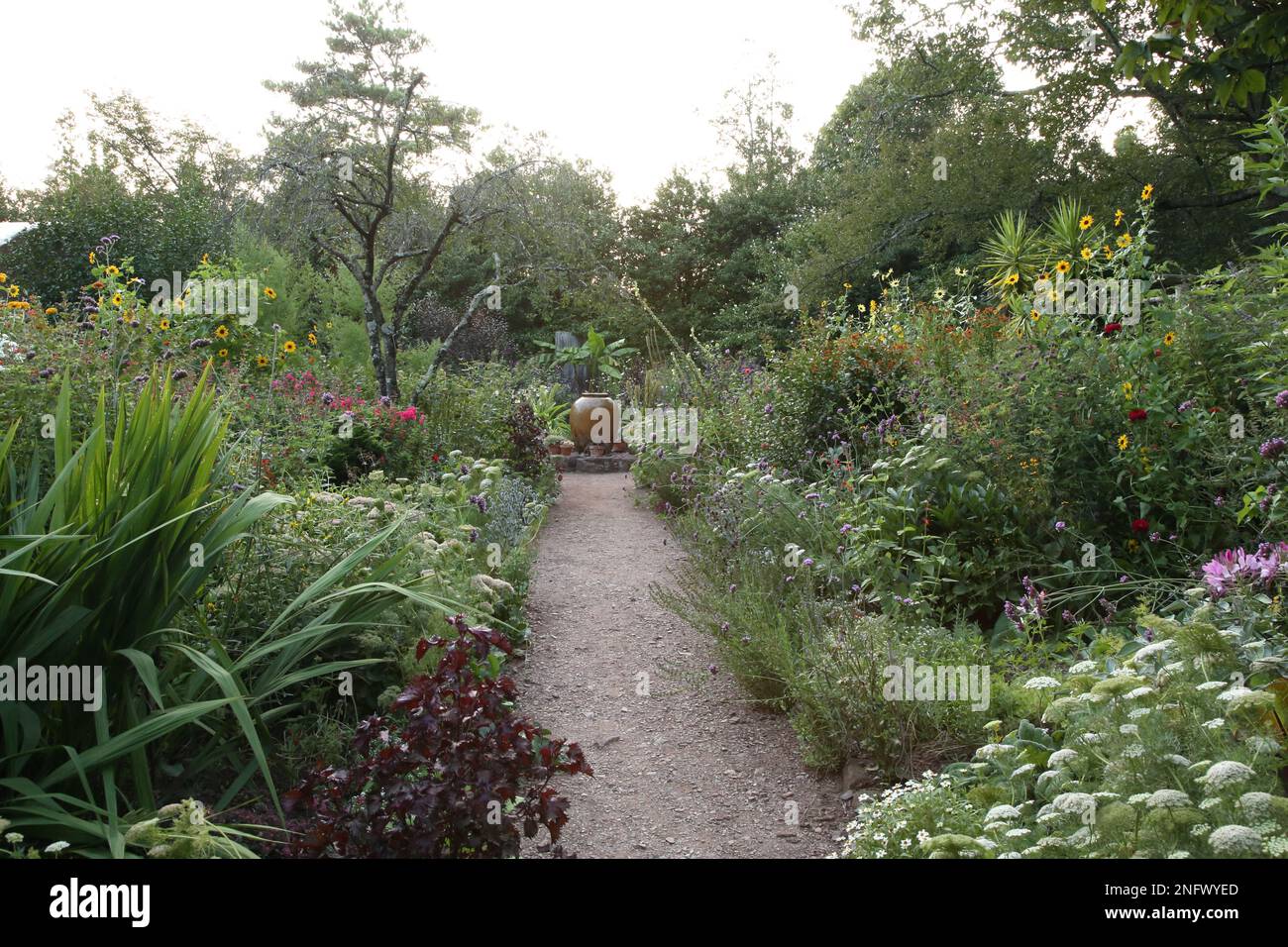 Willowwood Cottage Garden. Arrangements of flowering plants with gravel ...