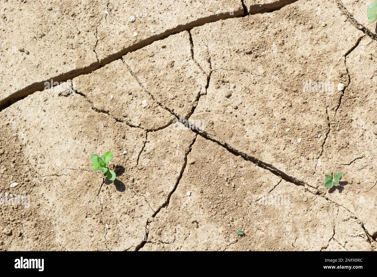 dry land in the dry season Drought, ground cracks, no hot water. Lack ...