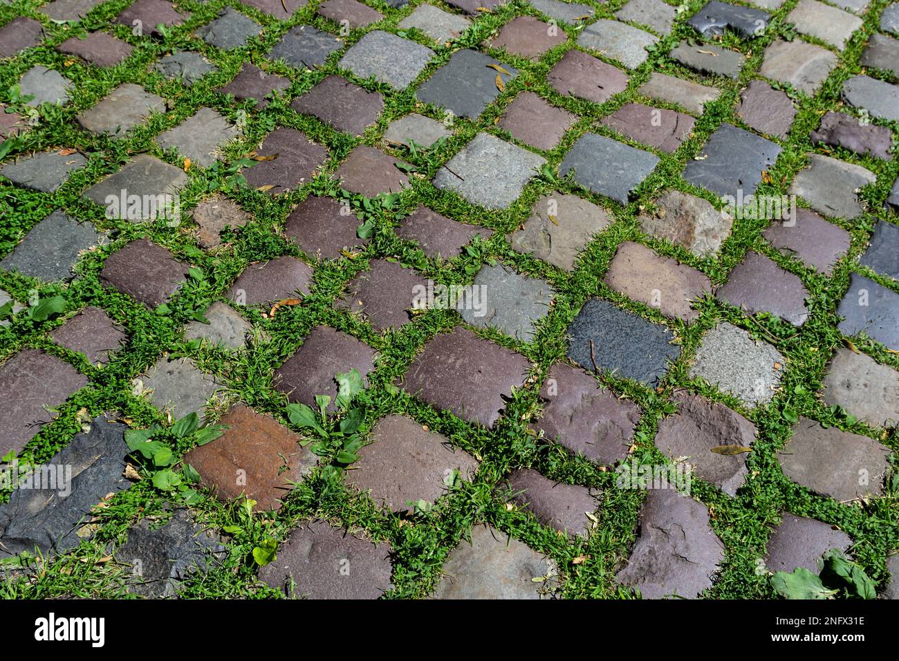 Cobblestone on the road with green grass. Background image on the theme ...