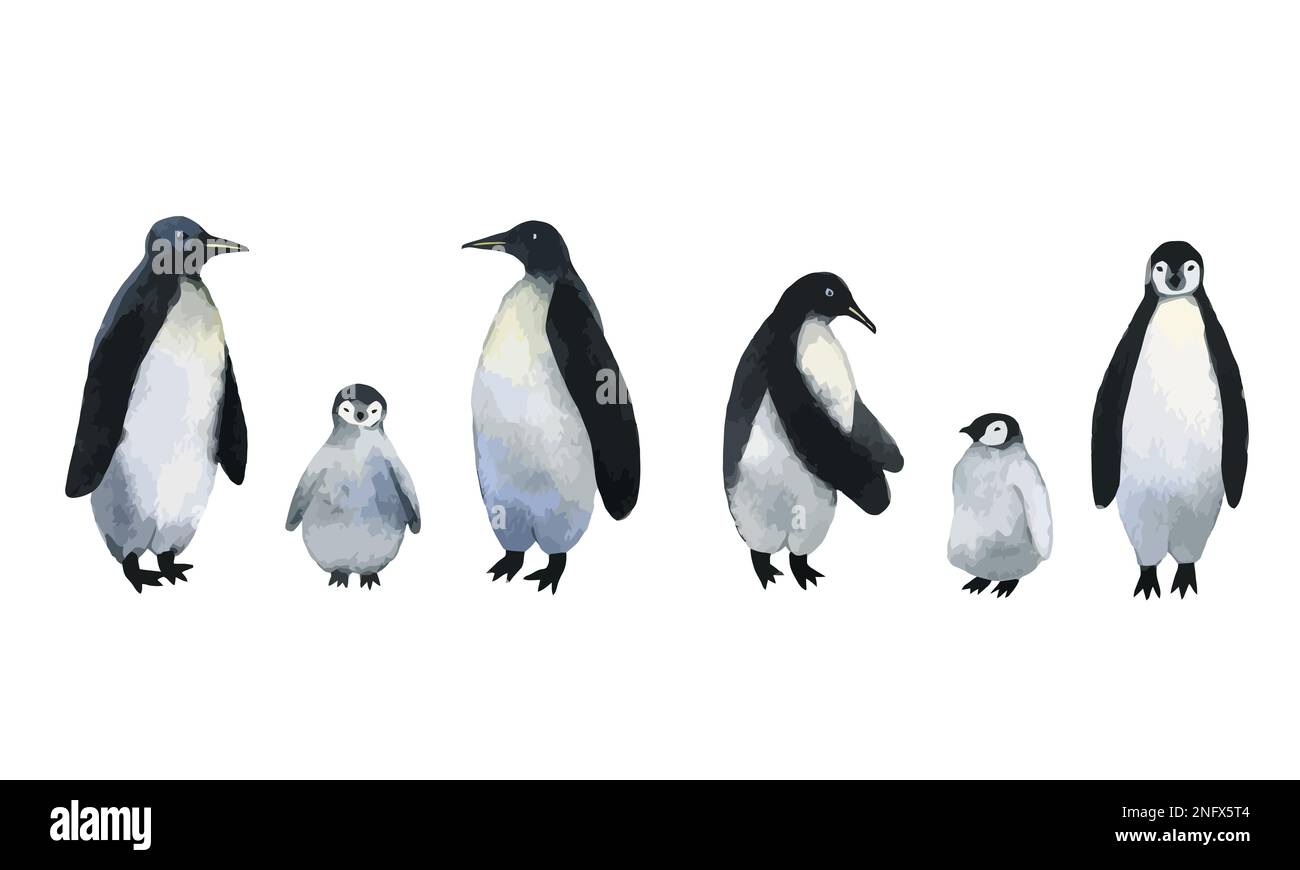 Vector penguins. Collection of adults penguins with cute baby penguins ... Vector penguins. Collection of adults penguins with cute baby penguins ...