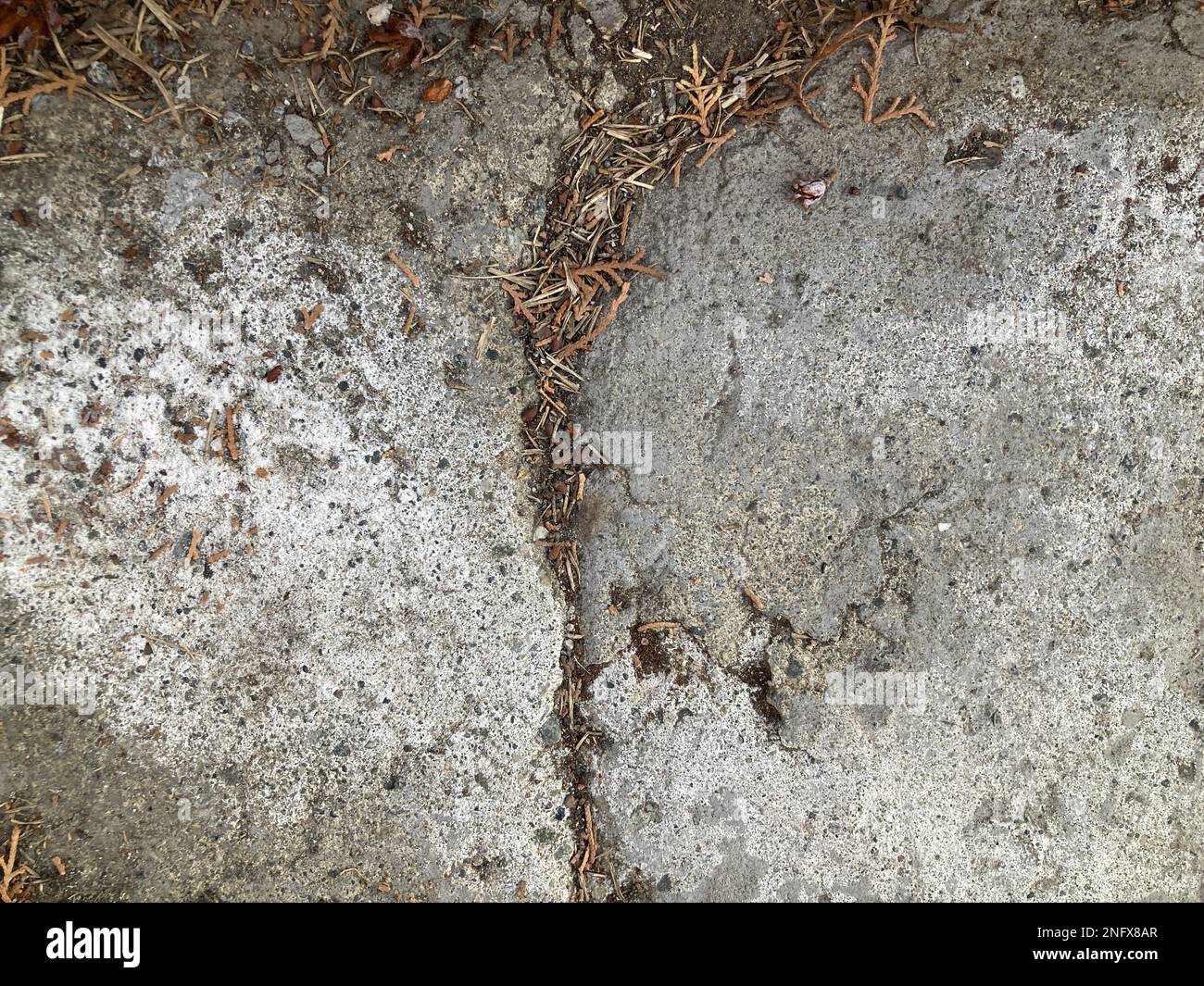 Texture ground sandstone, seamless texture ground sandstone Stock Photo ...