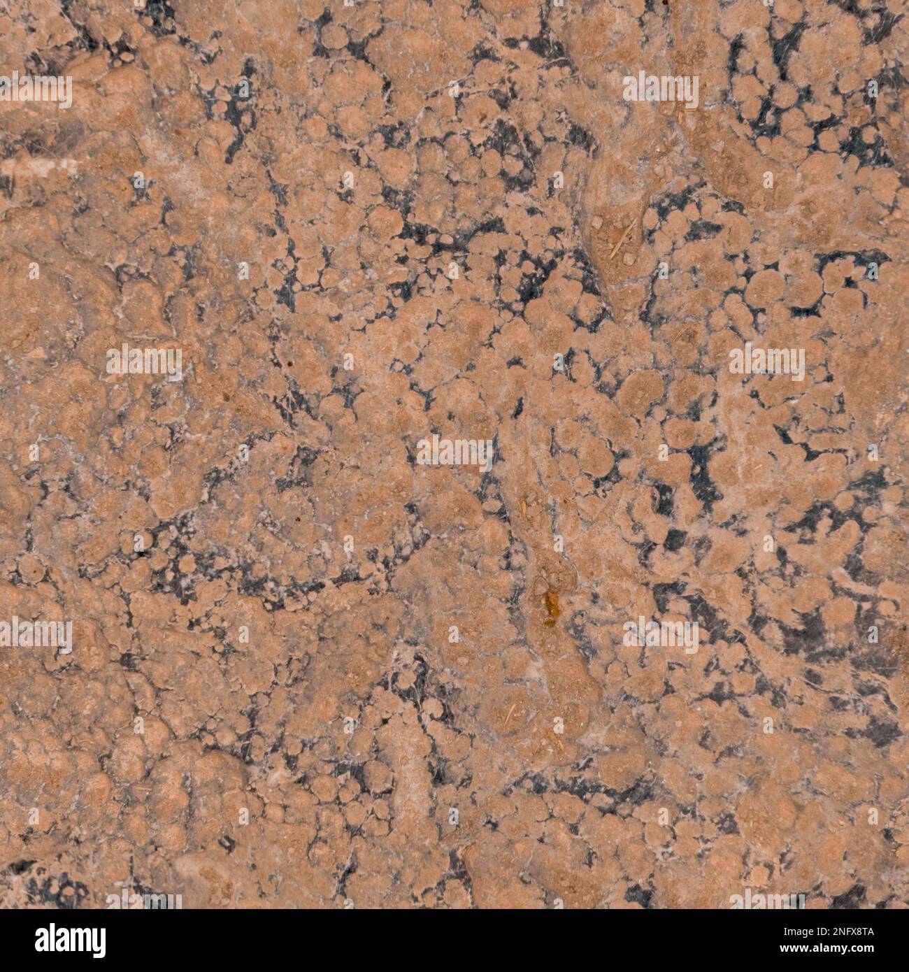Texture ground, seamless texture ground Stock Photo - Alamy