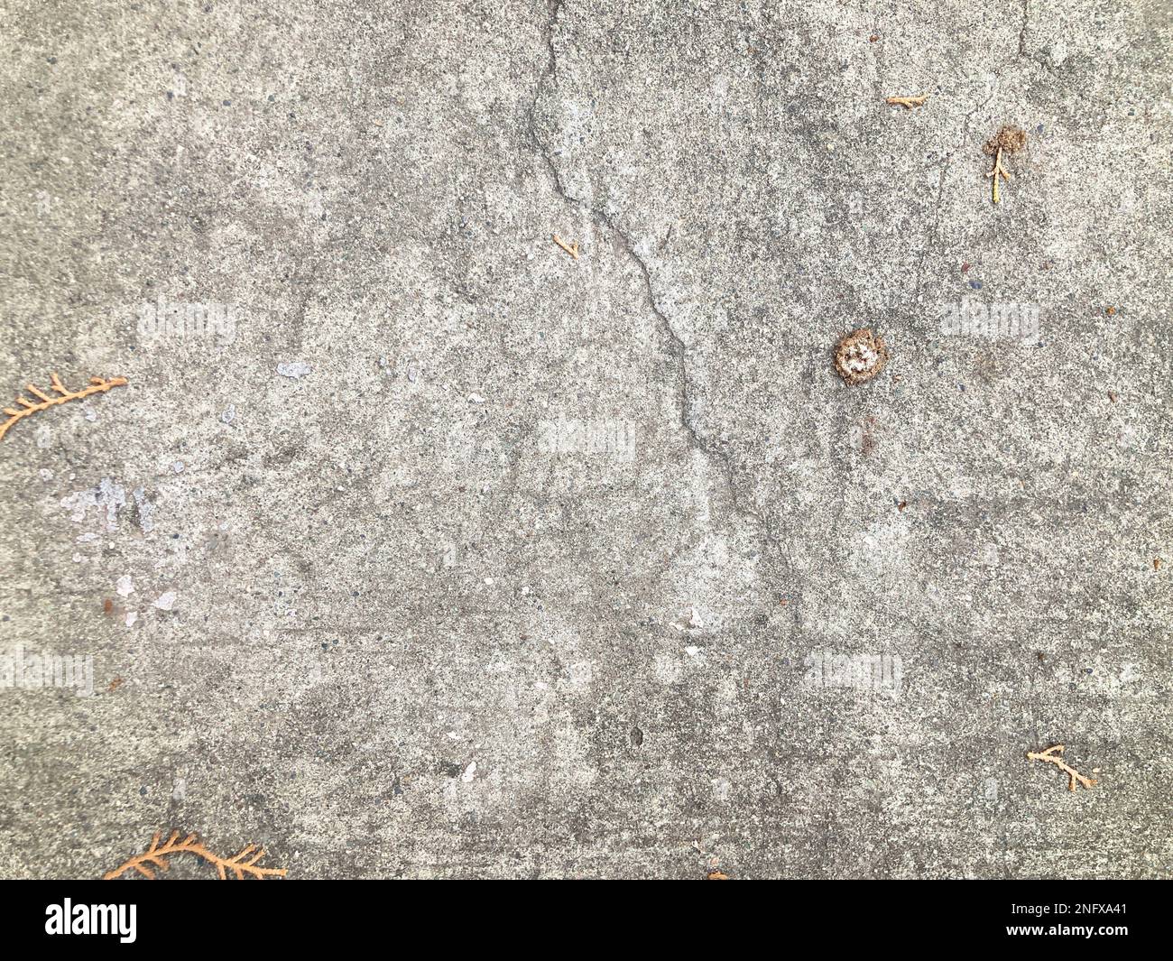 Damaged Plaster texture, cracked texture with fine detail High ...