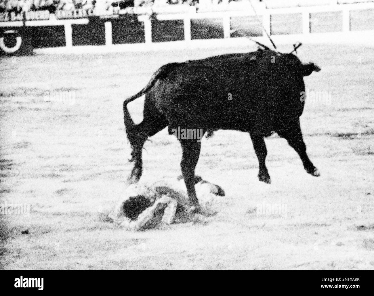 Manuel Rodriguez, known as Manolete, idol of the bullfighting world ...