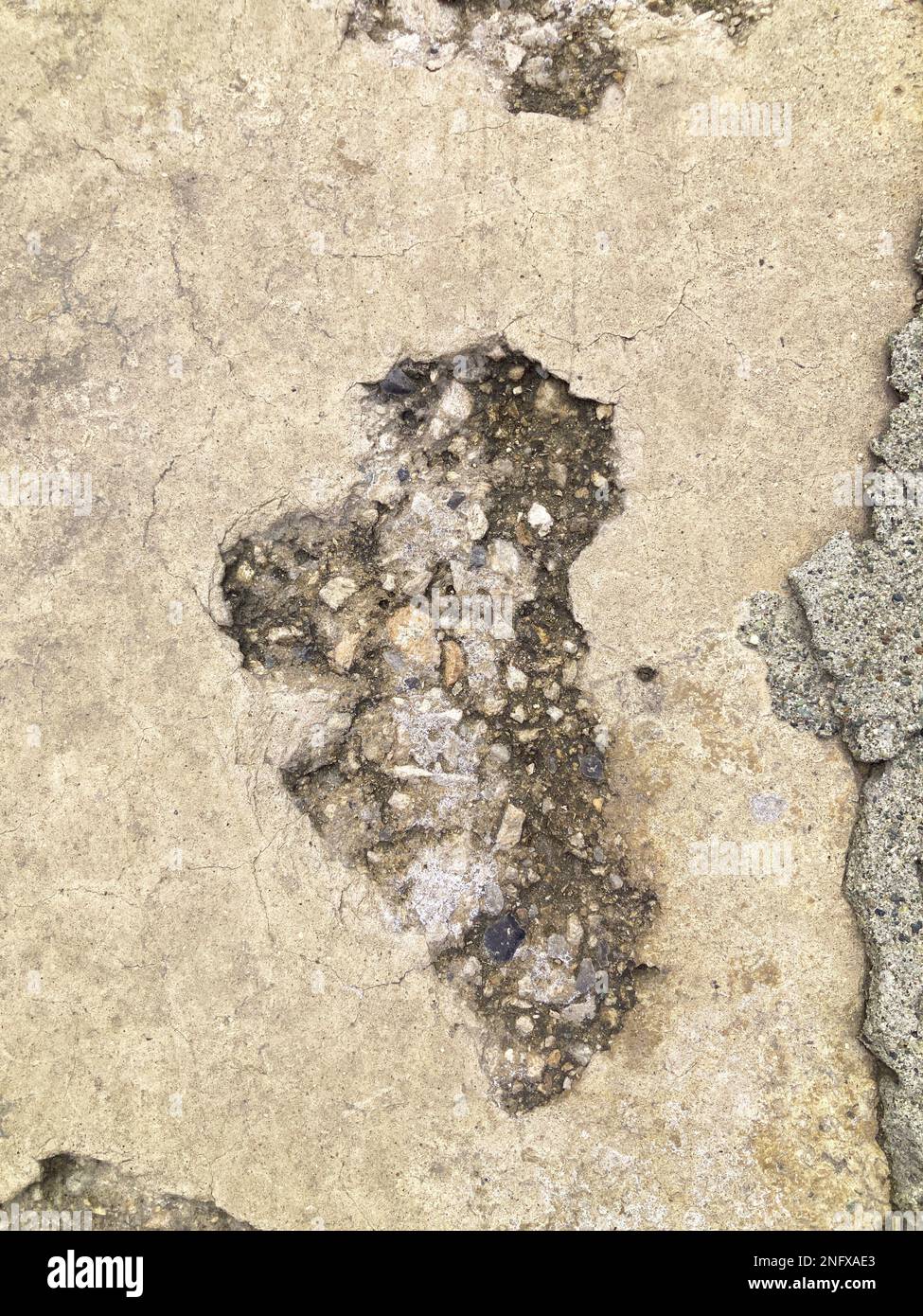 Damaged Plaster texture, cracked texture with fine detail High ...