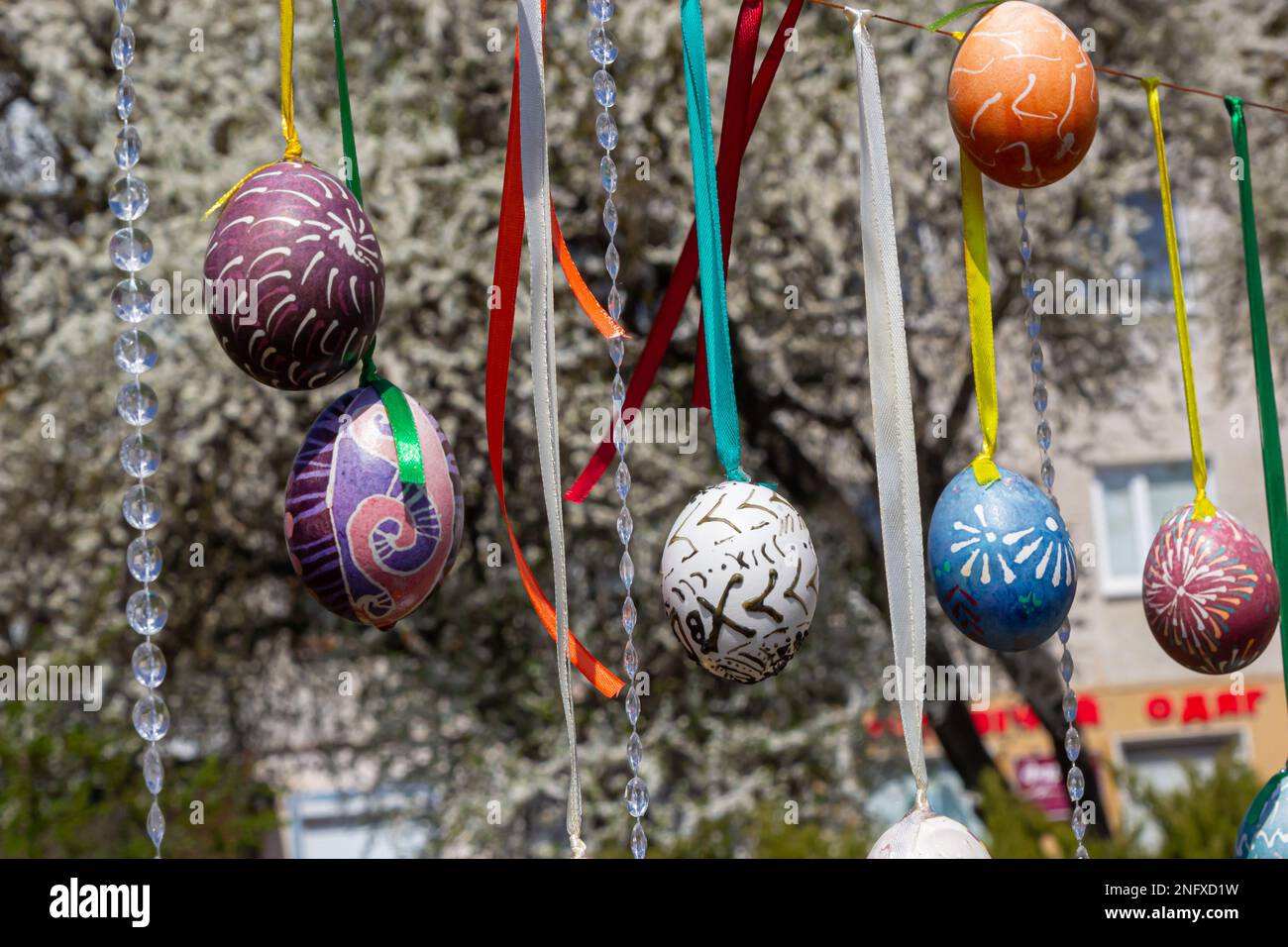 Painted eggs hang from the branches of the Easter tree. The focus is on ...
