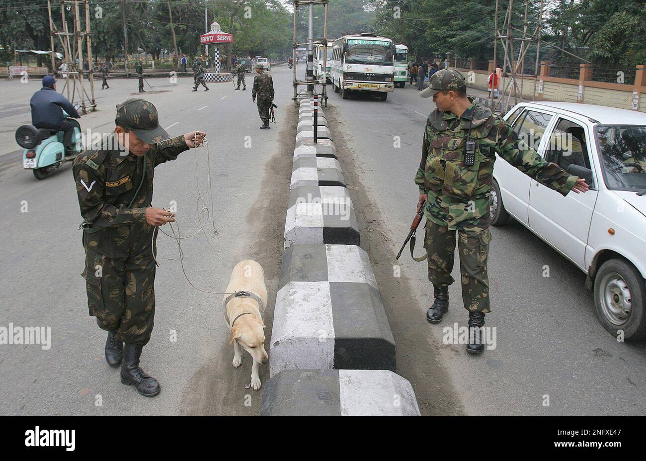 Indian Army soldiers use a sniffer dog to look for explosives on the ...