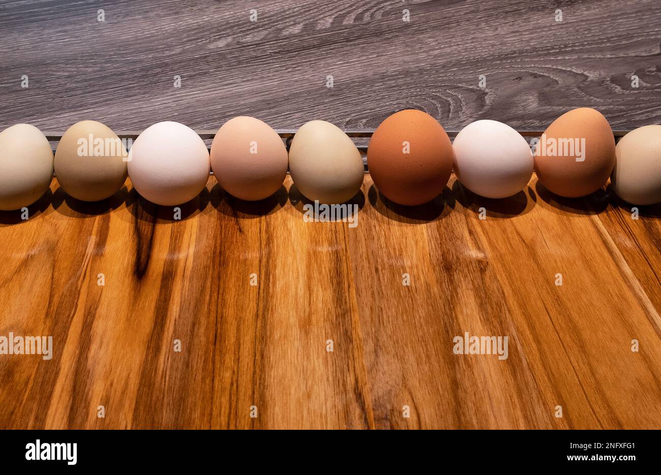 various color farm eggs lined up on tray Stock Photo - Alamy