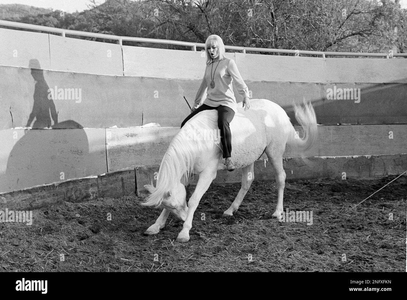 Actress Kim Novak gets some practice on horseback before her first ...