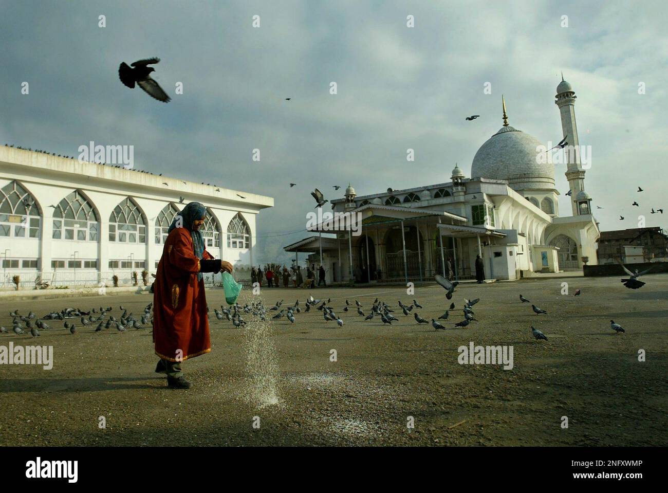 A Kashmiri Muslim woman feeds pigeons outside Hazratbal shrine in ...