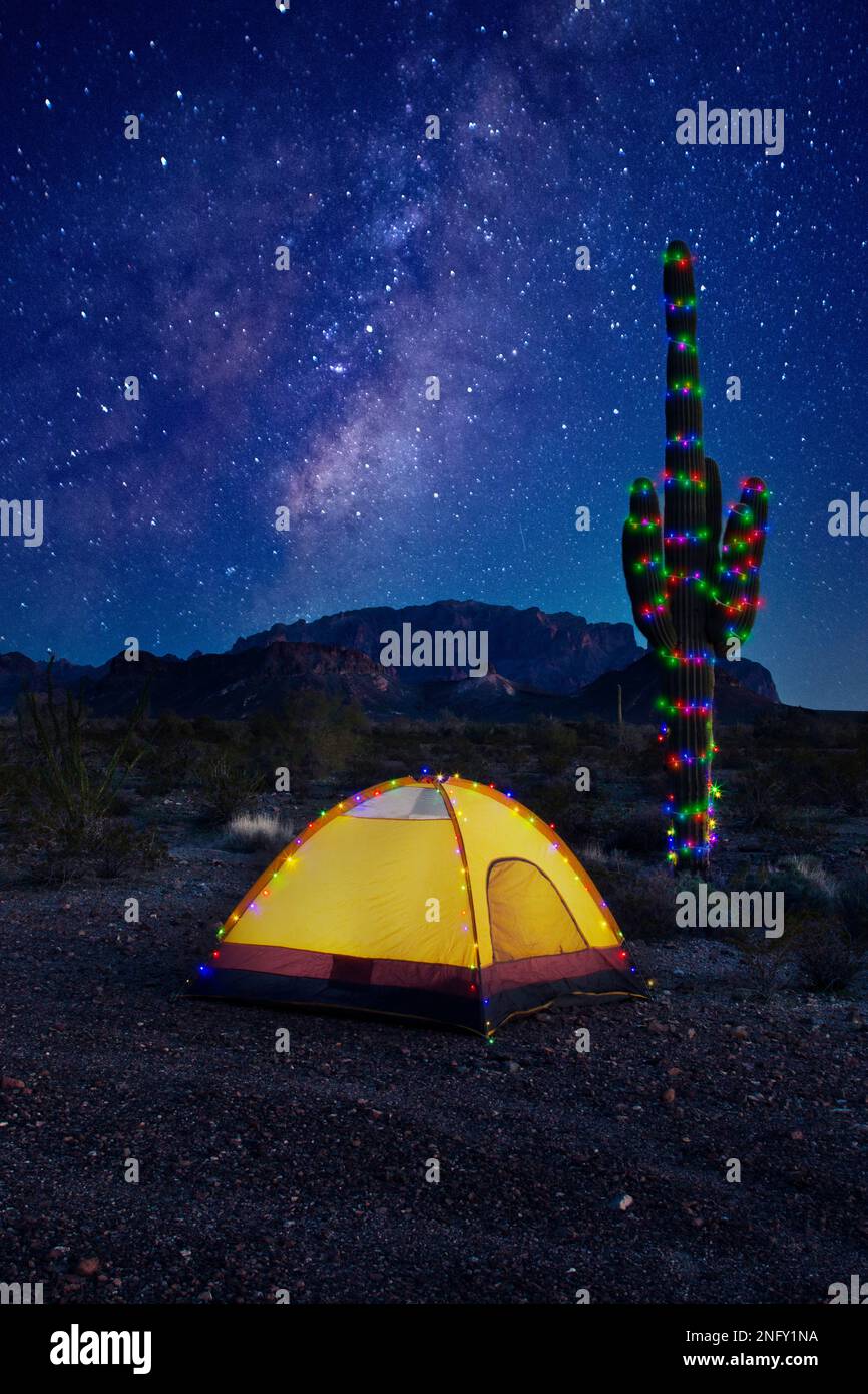 Camping tent in the Kofa mountains Arizona desert with a saguaro cactus ...
