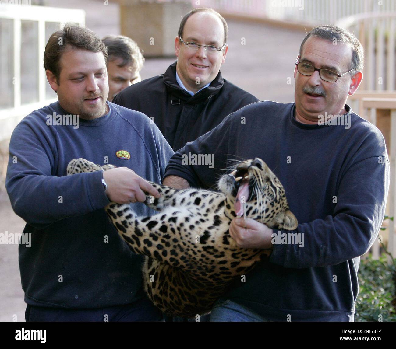 Prince Albert II of Monaco watches as two zoo employees carry the ...