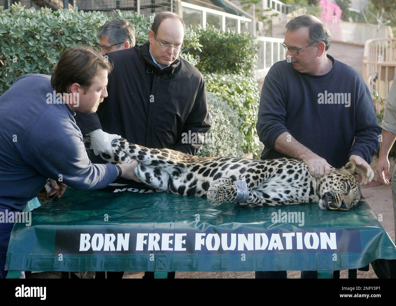 Prince Albert II of Monaco, right, with two zoo employees , carries the ...