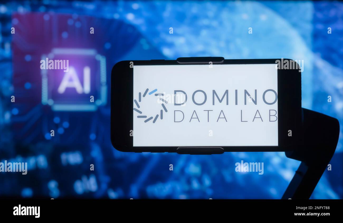 India. 17th Feb, 2023. In this photo illustration, the logo of Domino ...