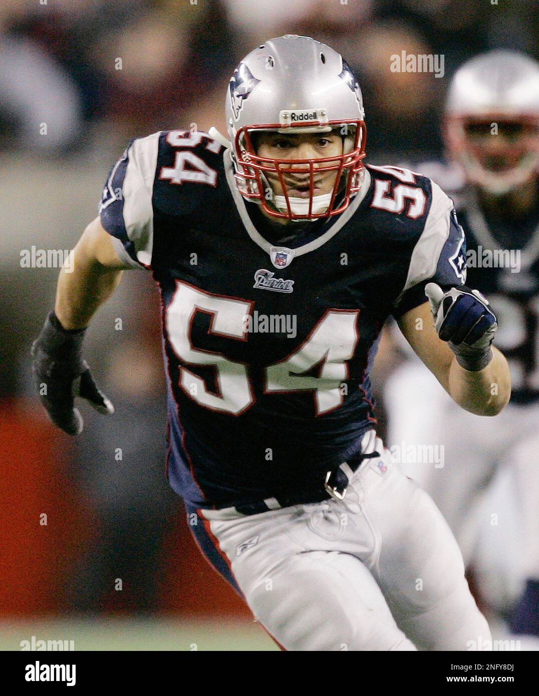New England Patriots linebacker Tedy Bruschi plays against the Miami ...
