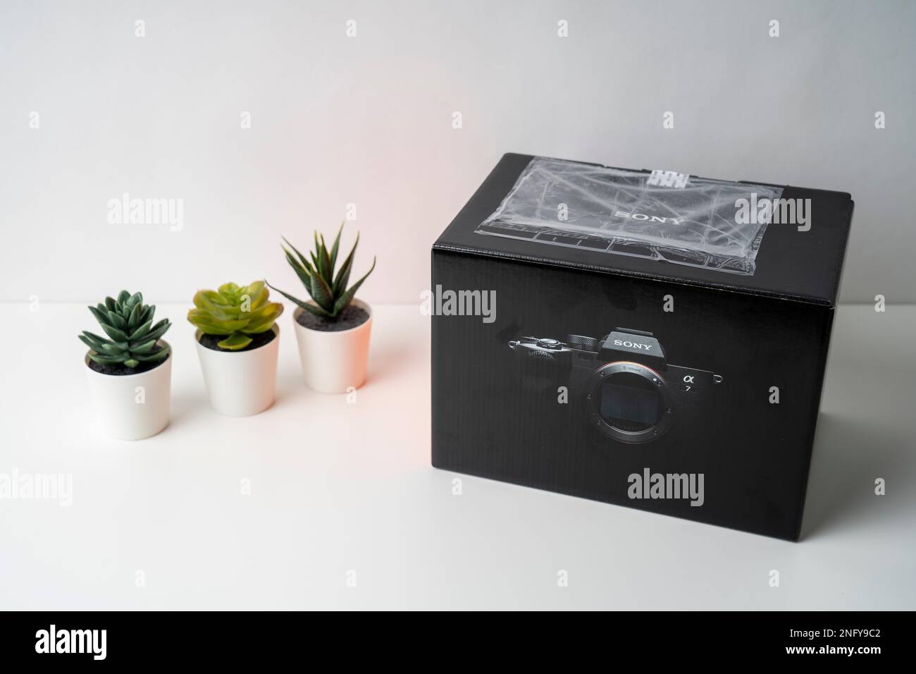 Sony Alpha a7 IV Full Frame hybrid MILC mirrorless camera, camera body ...