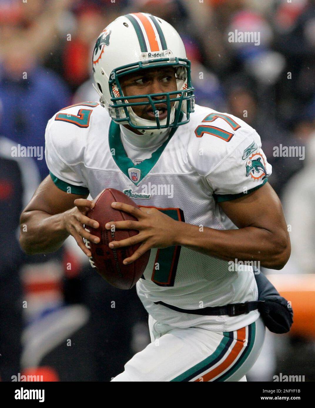 Miami Dolphins' Cleo Lemon looks to throw during the first quarter of ...