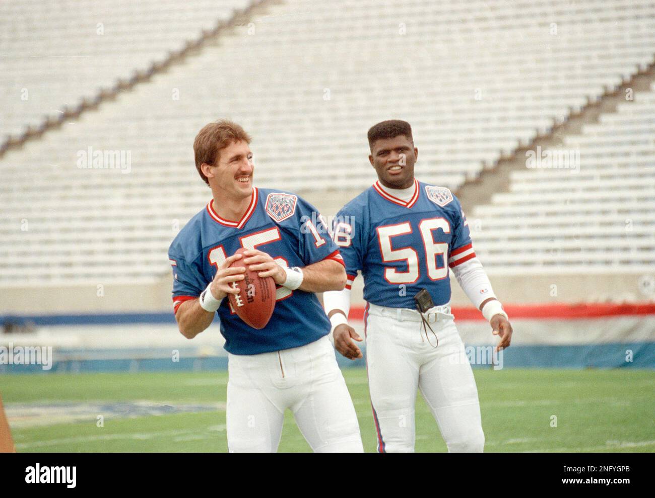 New York Giants quarterback Jeff Hostetler (15) who'll lead the offense ...