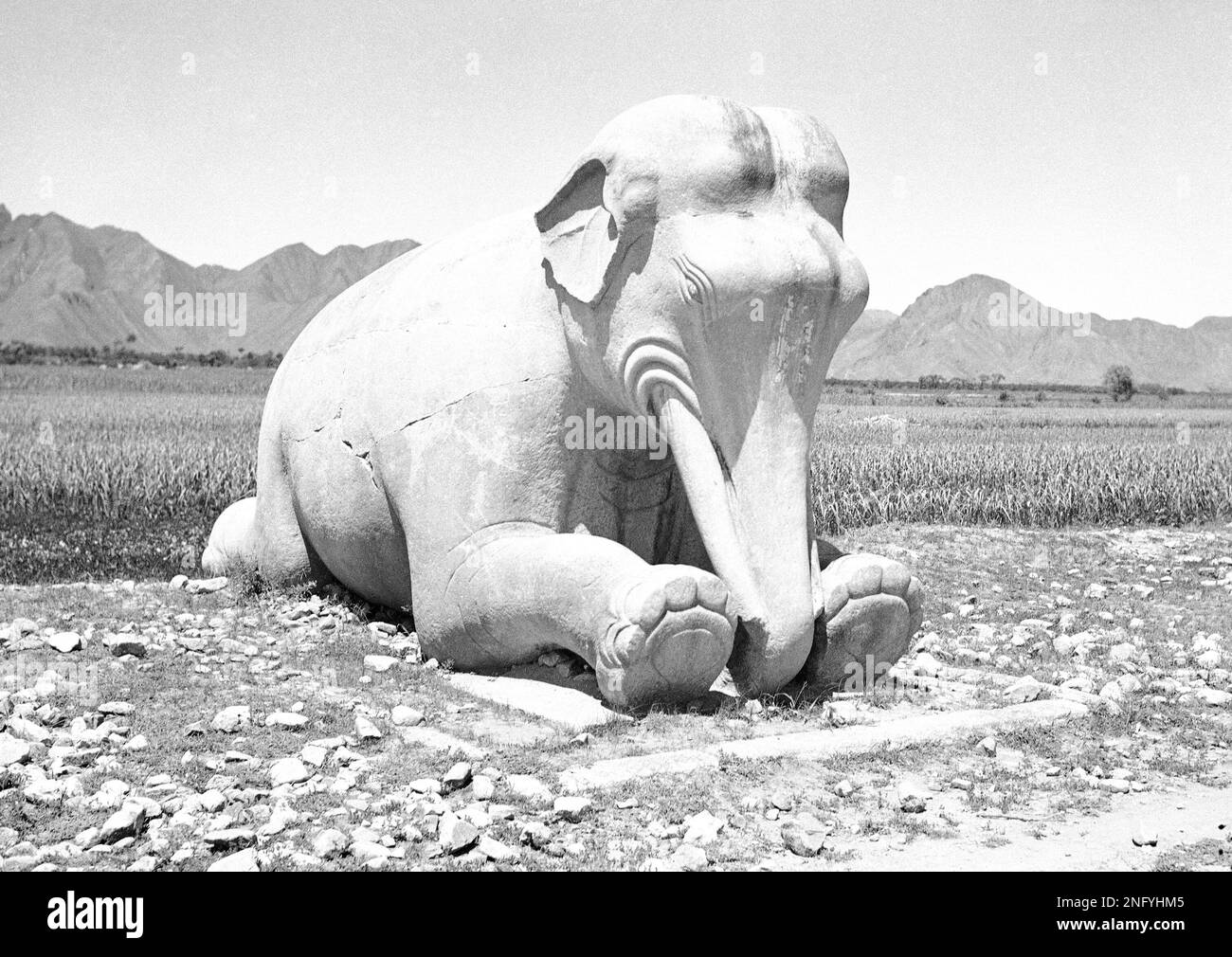 Stone figures of animals line the approach to the remarkable Ming tombs ...