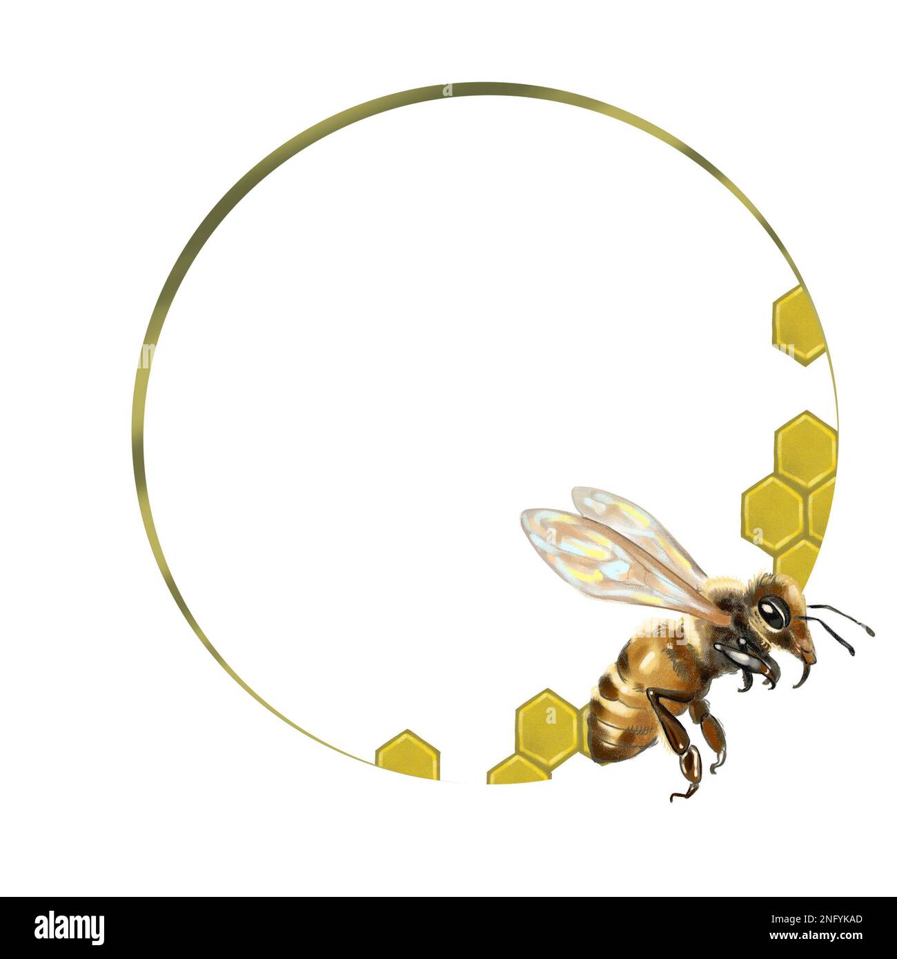 Round frame with illustration of bee and honeycomb. High quality ...