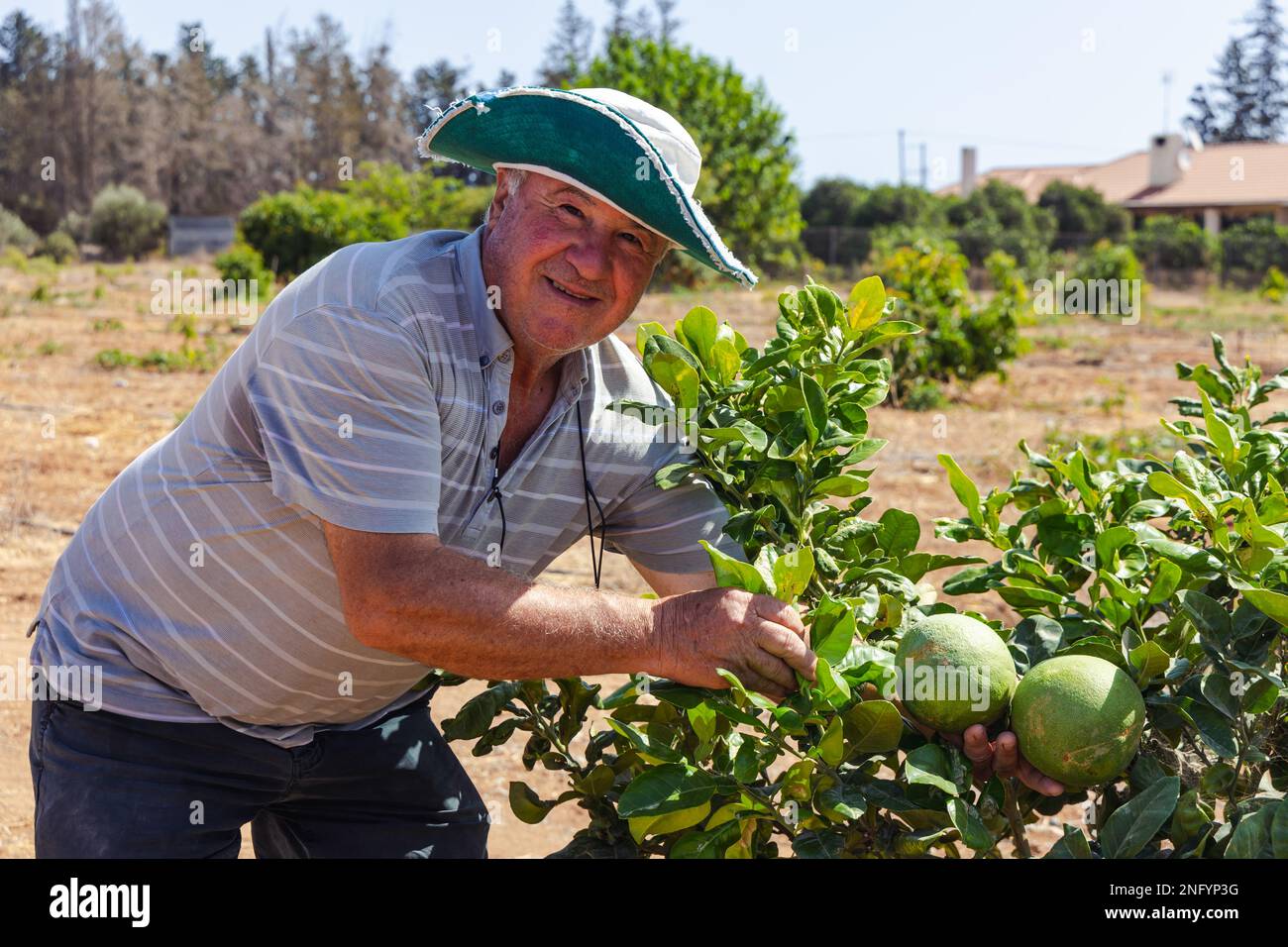 Mr Costas Violaris, owner of Agrovino Farm of Violaris family in ...