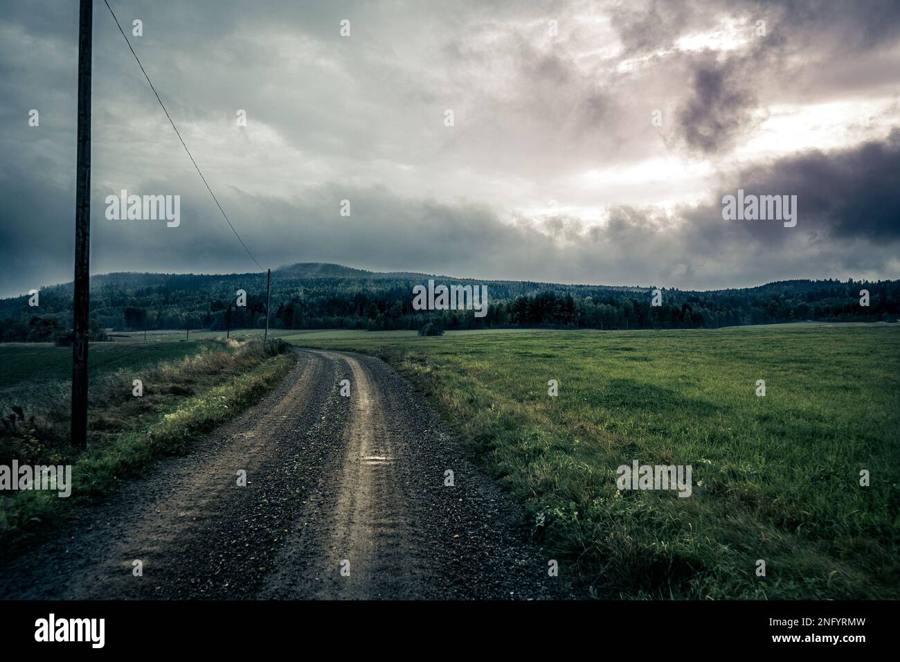 A beautiful view of a path through the countryside and various trees at ...