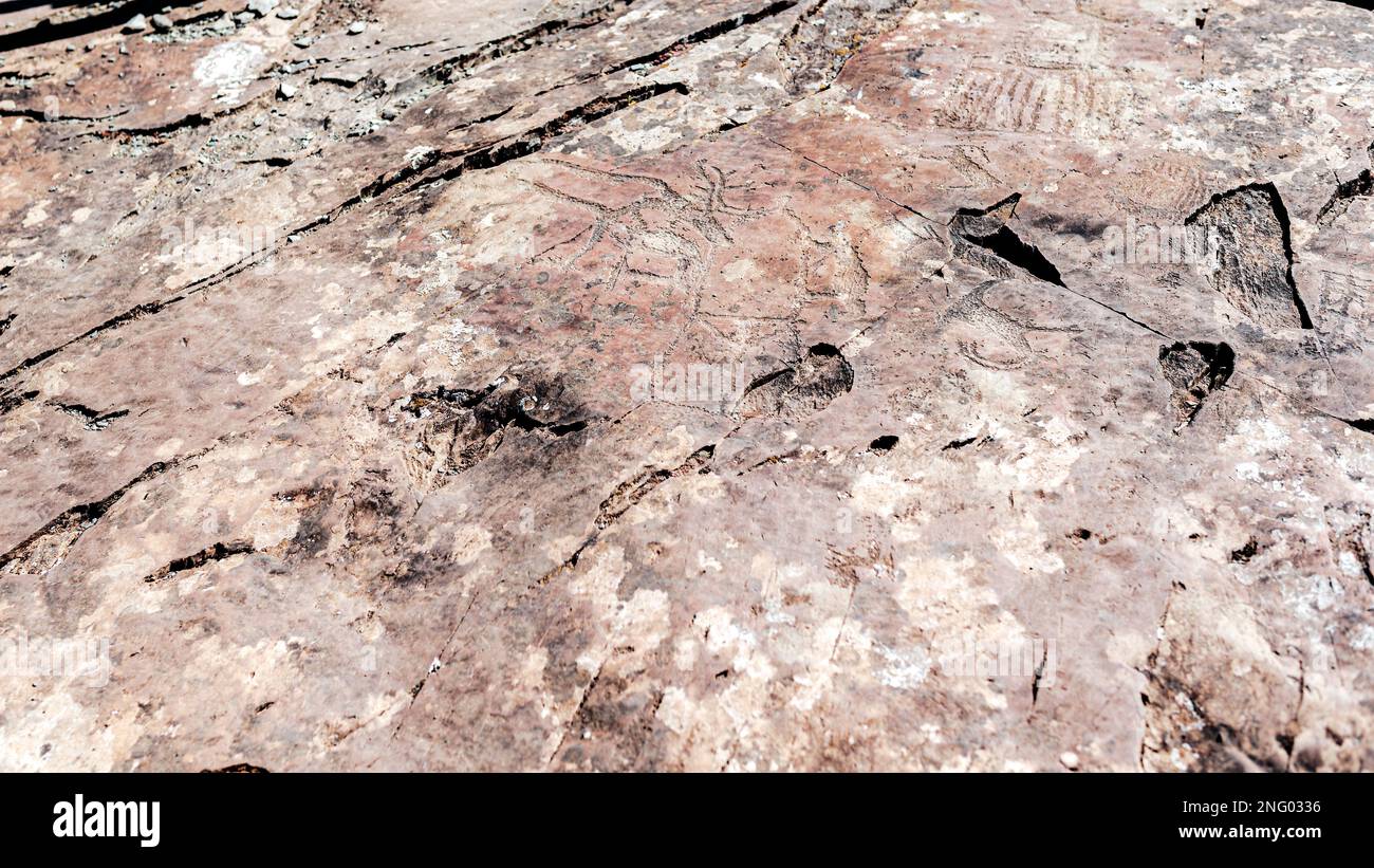 Petroglyphs rock drawings of ancient people animals and an unknown ...