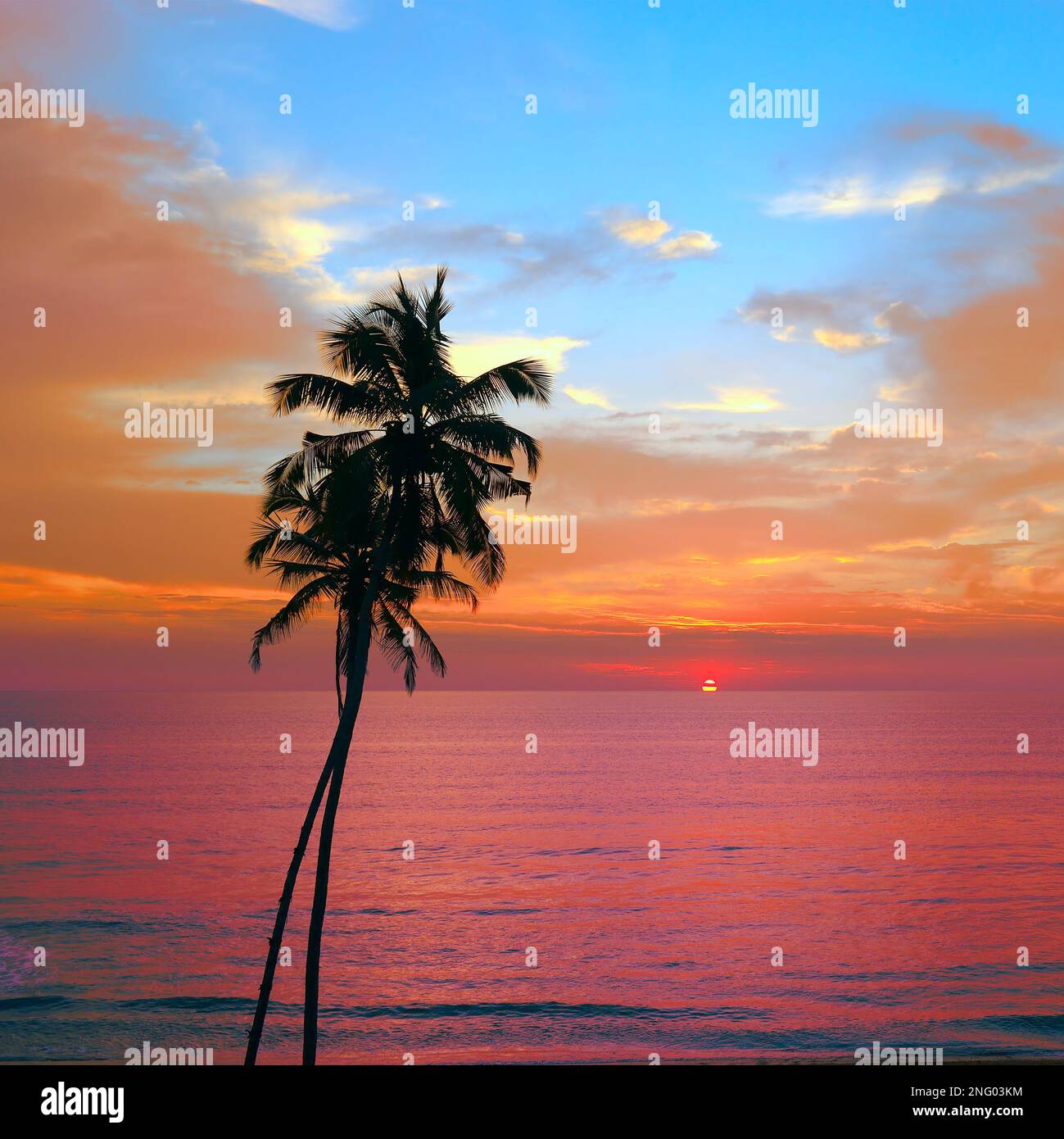 Red sea and sunset hi-res stock photography and images - Alamy