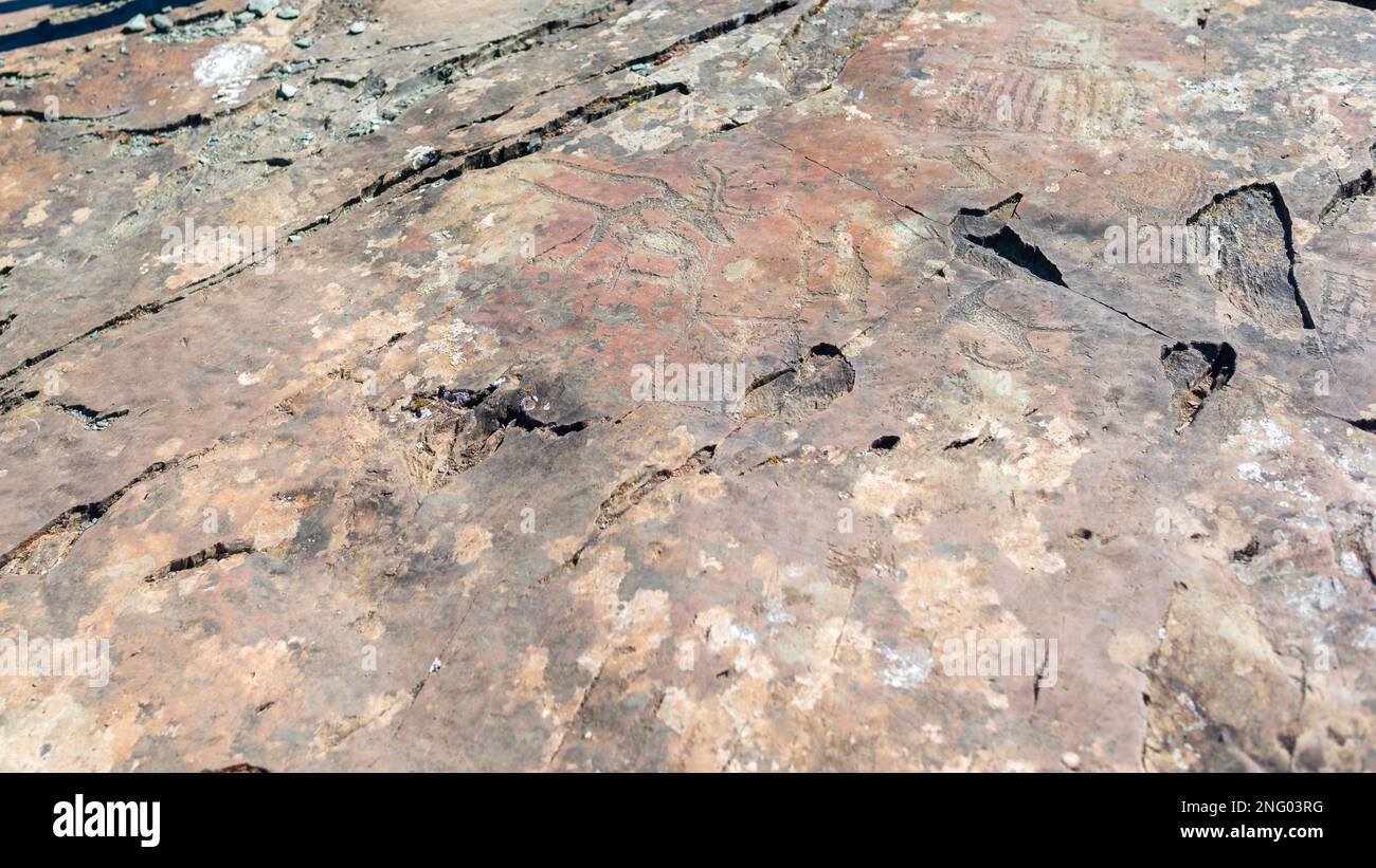 Petroglyphs rock drawing of ancient people deer and unknown spaceship ...