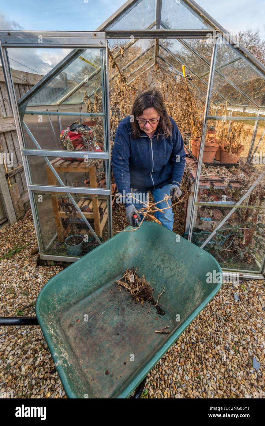Cutting up dead plants hi-res stock photography and images - Alamy