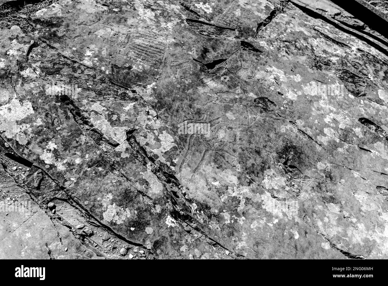 Rock drawing of ancient people of deer on a stone in the Altai ...