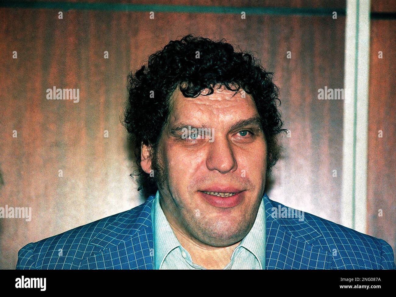 Professional wrestler Andre the Giant shown 1988. (AP Photo/Richard ...