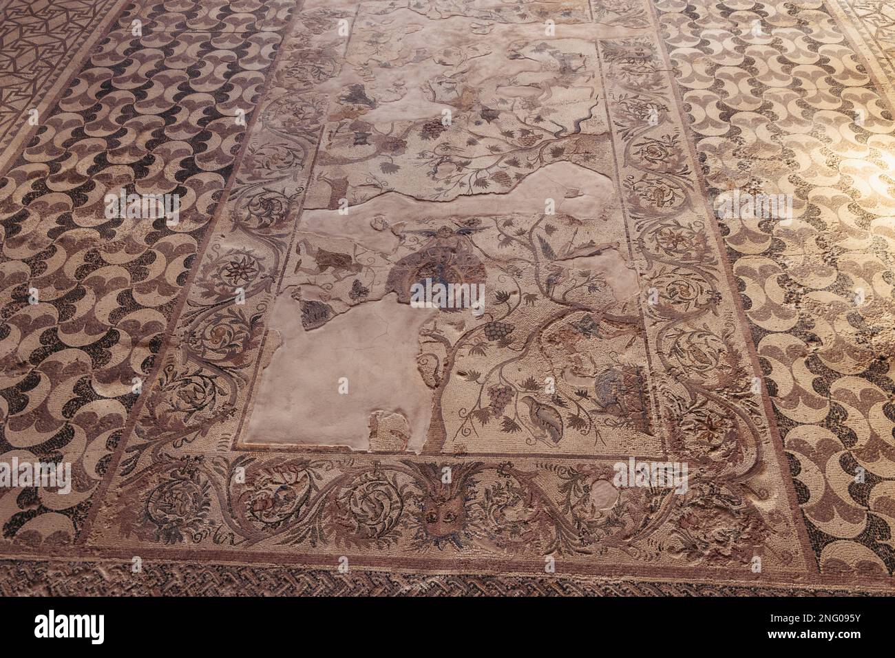 Floor mosaic in House of Dionysos Roman villa in Paphos Archaeological ...