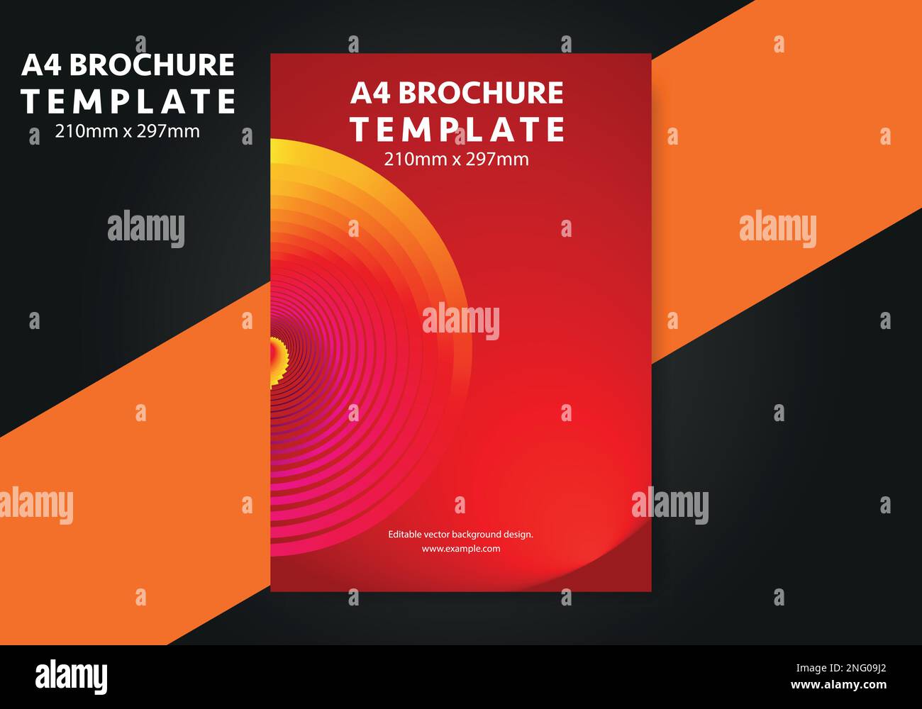 A4 Brochure Background design template vector, Flyer template for business background layout in ...